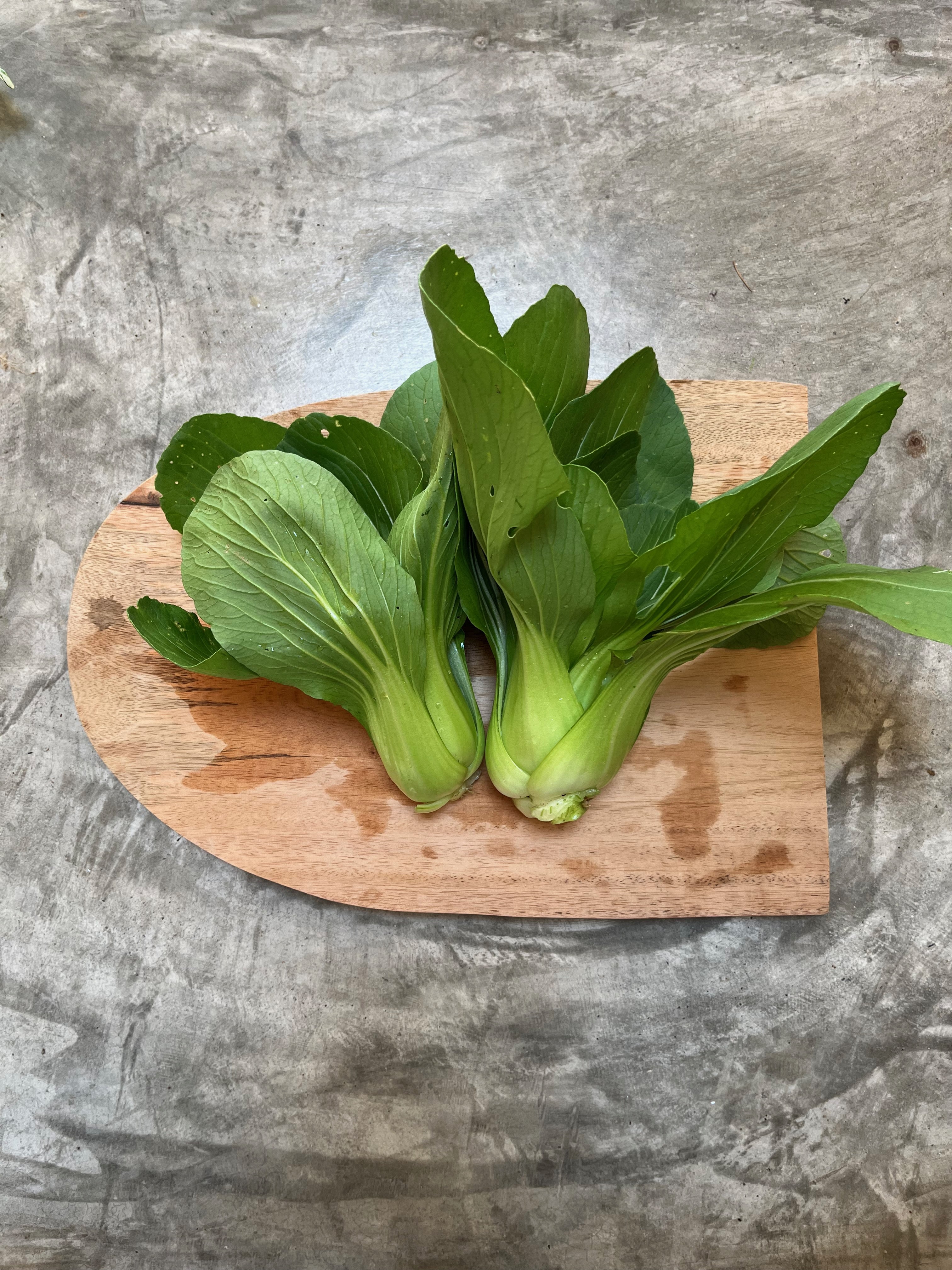 Organic Bok Choy - บ็อคชอย