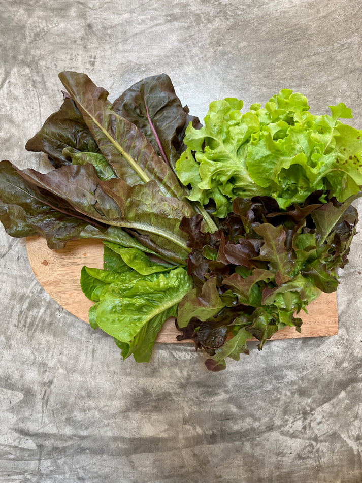 Organic Mix Lettuce - ผักสลัดรวม
